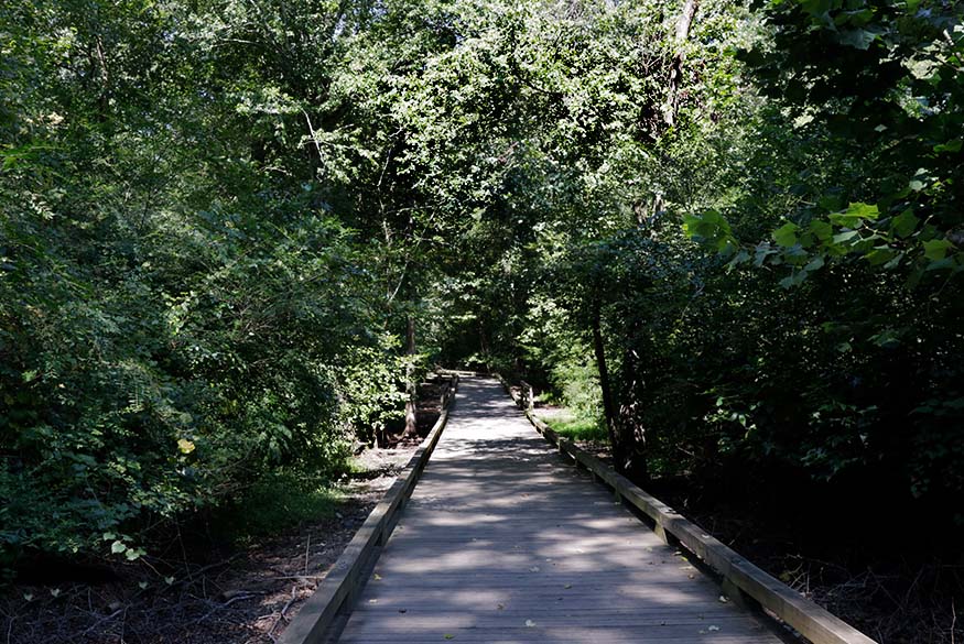 Forsyth County Georgia > News